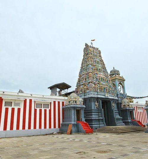 Projects | Jaffna Tours & Excursions